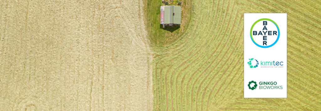 Bayer, Kimitec, and Ginkgo Bioworks Partner for Agricultural Innovation ...