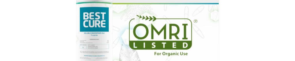 Futureco Bioscience's BestCure biofungicide receives OMRI organic certification - BioAgWorldDigest