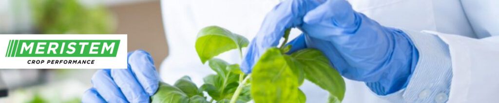 Enhancing Crop Health: Meristem Crop Performance® - BioAgWorldDigest