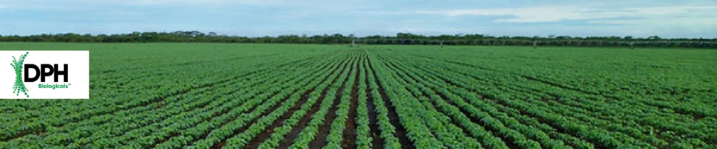 DPH Biologicals Unveils Prime™ Platform to Enhance Plant Growth and ...
